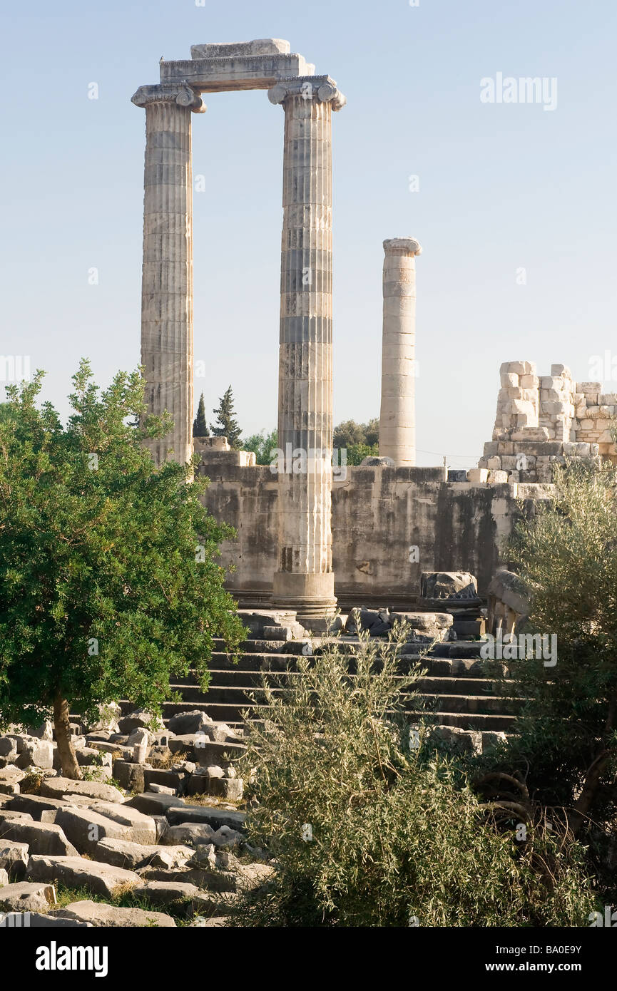 Ionian columns hi-res stock photography and images - Alamy
