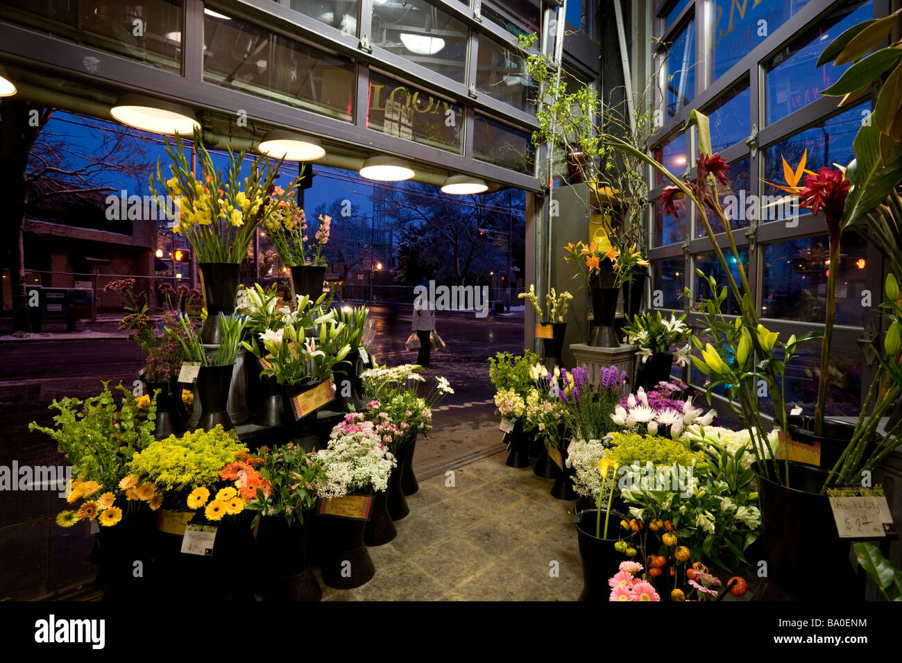 Capitol Hill Flower Market Snowy Winter Evening Seattle Washington ...
