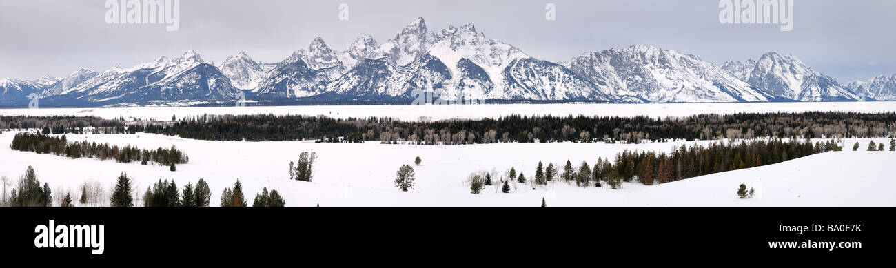 Wide panorama of the Grand Teton peaks in winter from Teton Point ...