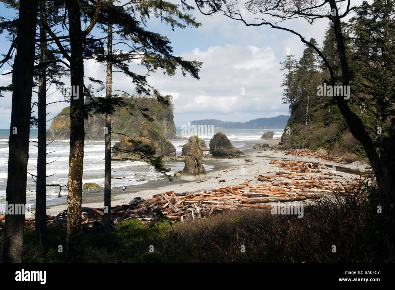 Ruby Beach - Olympic National Park, Washington Stock Photo - Alamy Ruby Beach - Olympic National Park, Washington Stock Photo - Alamy