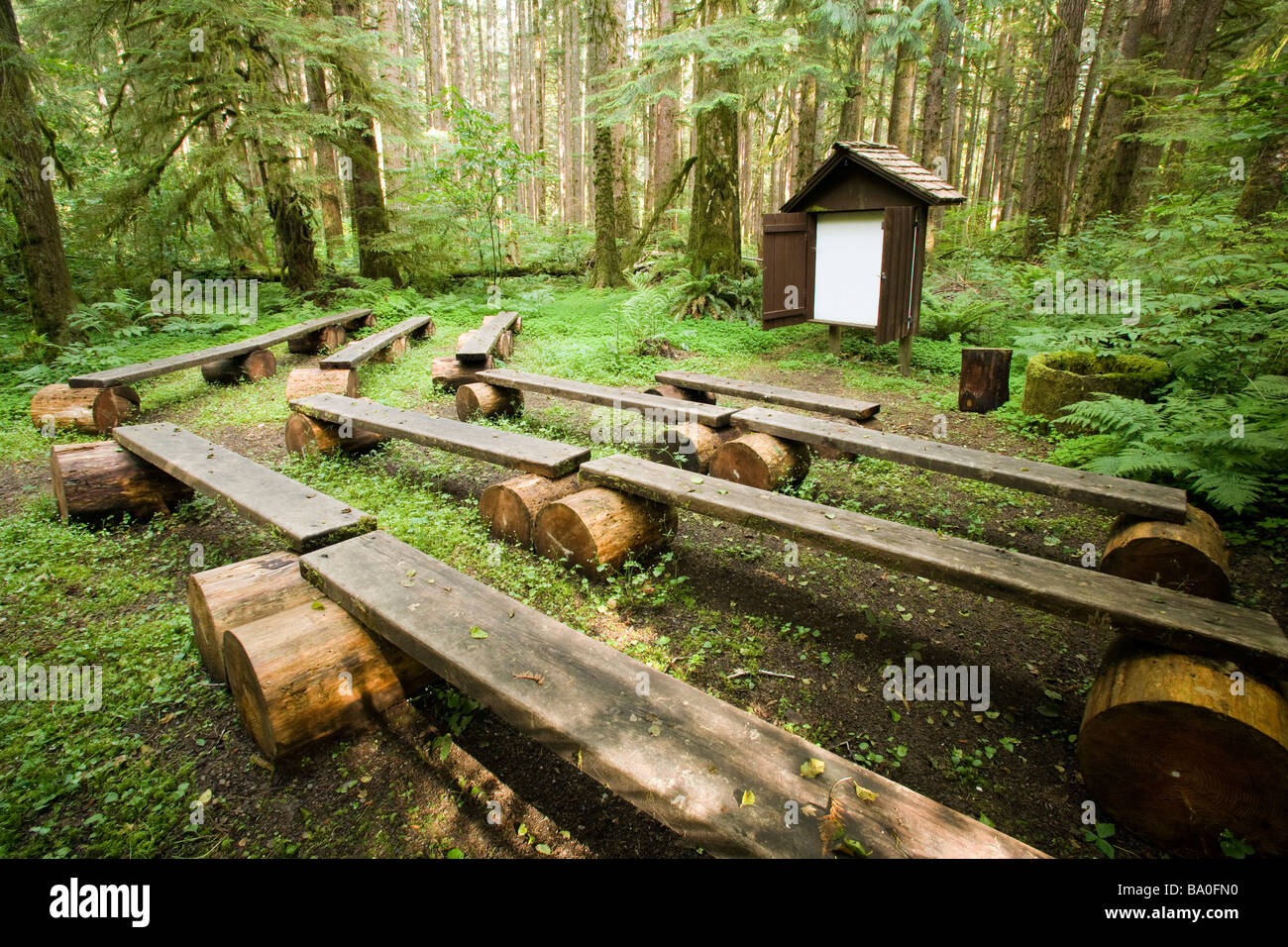 Amphitheater - Olympic National Park, Washington Stock Photo - Alamy