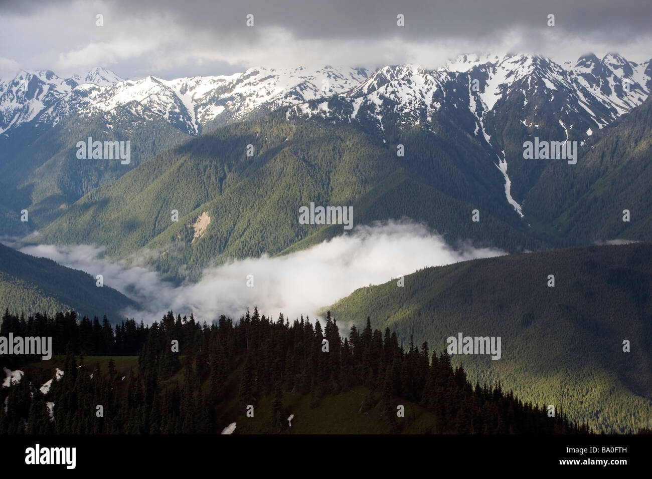 Olympic Mountain Range - Hurricane Ridge, Olympic National Park ...