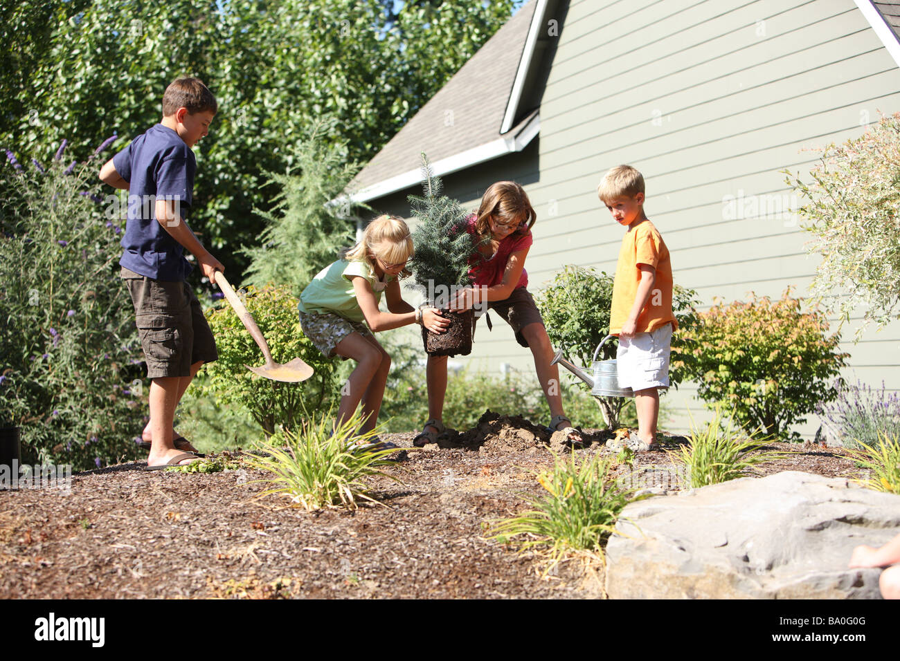 Group of children planting tree Stock Photo - Alamy