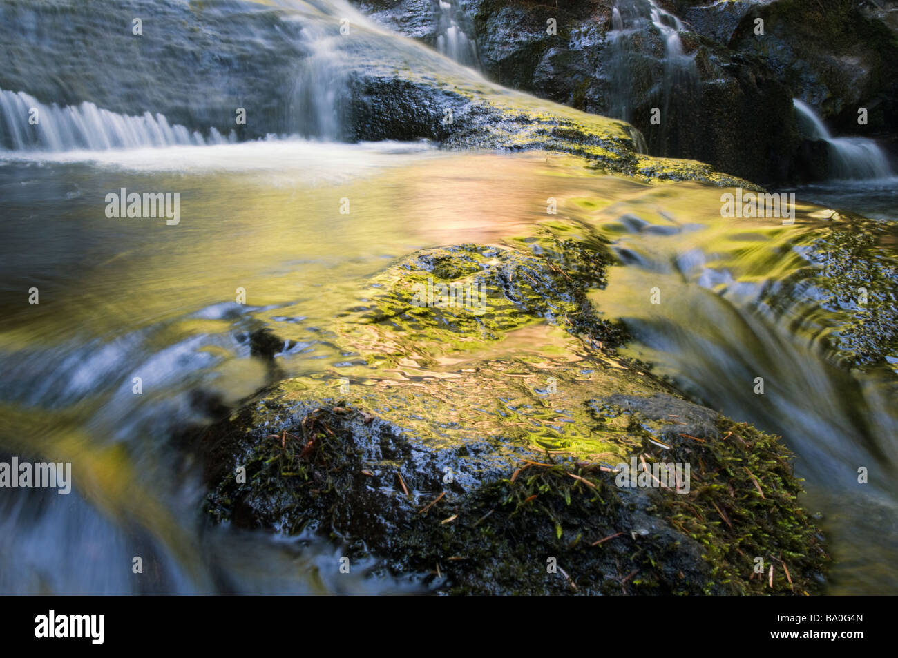 Sweet creek falls waterfall hi-res stock photography and images - Alamy