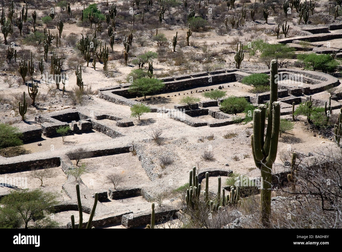 Ruinas de Quilmes. The pre-Incan ruins of Quilmes, Salta Province ...