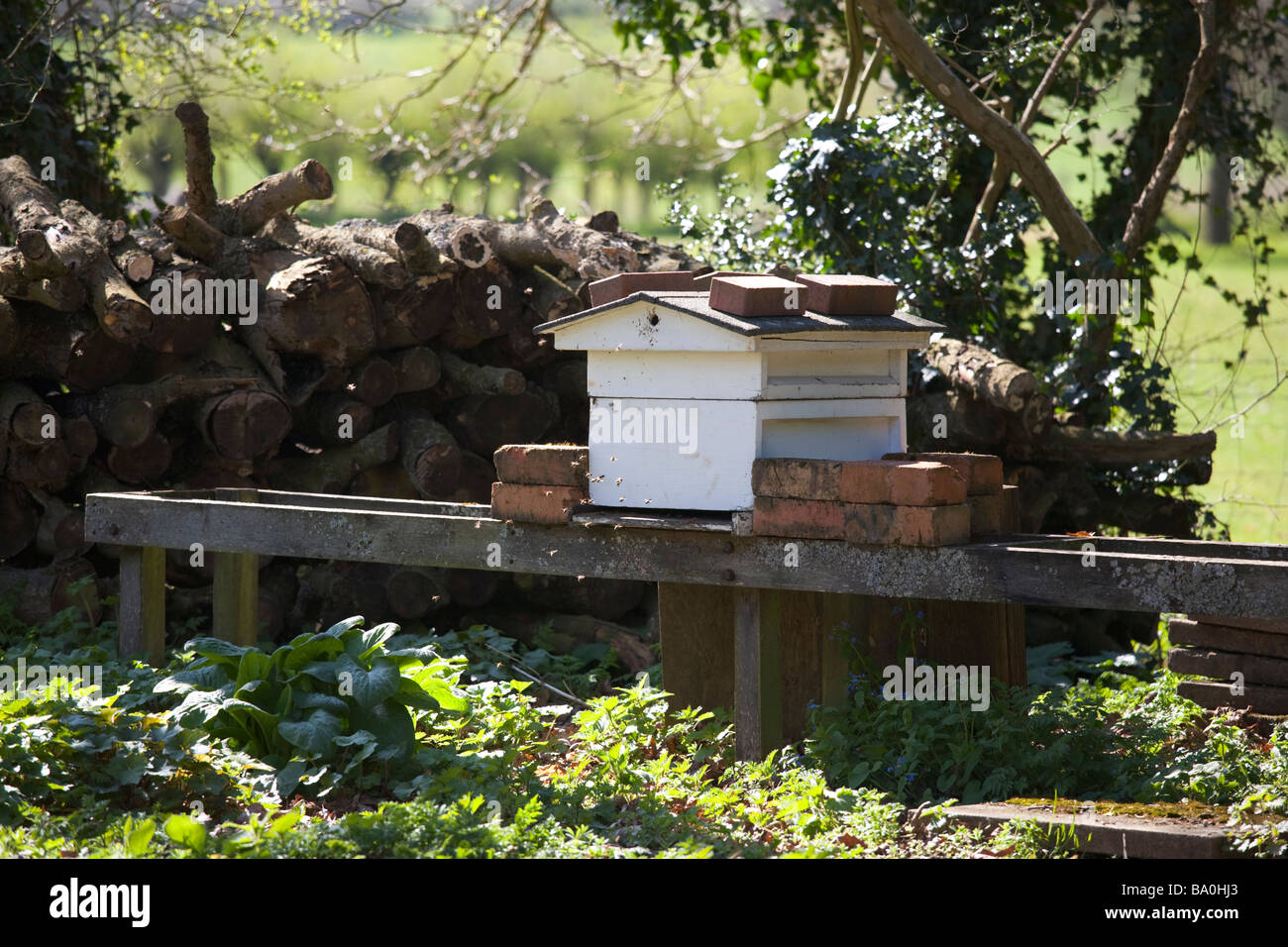 Bee hive hi-res stock photography and images - Alamy