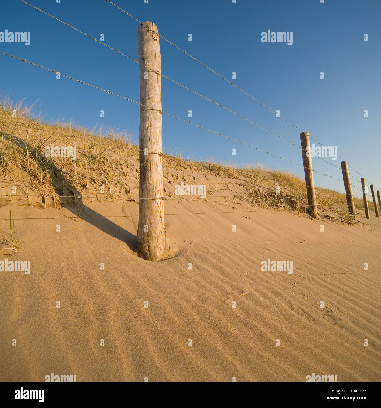 Dunes at the north sea hi-res stock photography and images - Alamy
