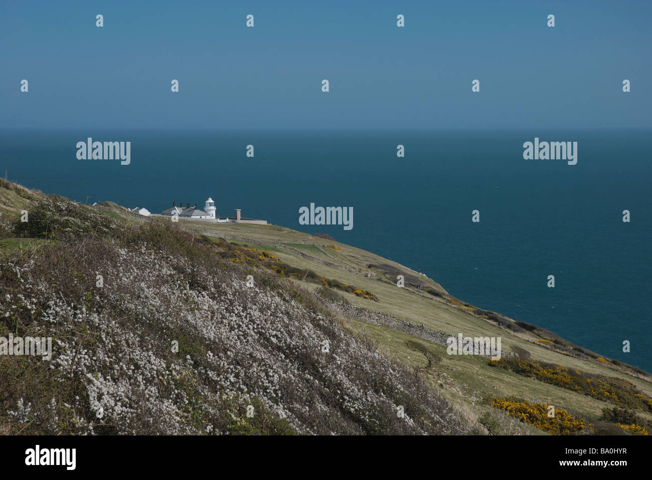 Durlston country park hi-res stock photography and images - Alamy