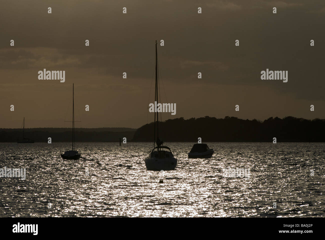 Brownsea island dorset sunset hi-res stock photography and images - Alamy