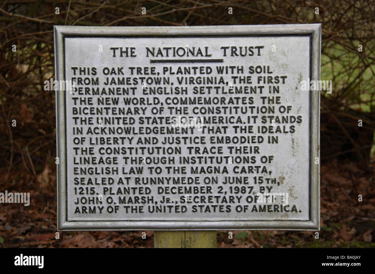 Plaque oak tree hi-res stock photography and images - Alamy