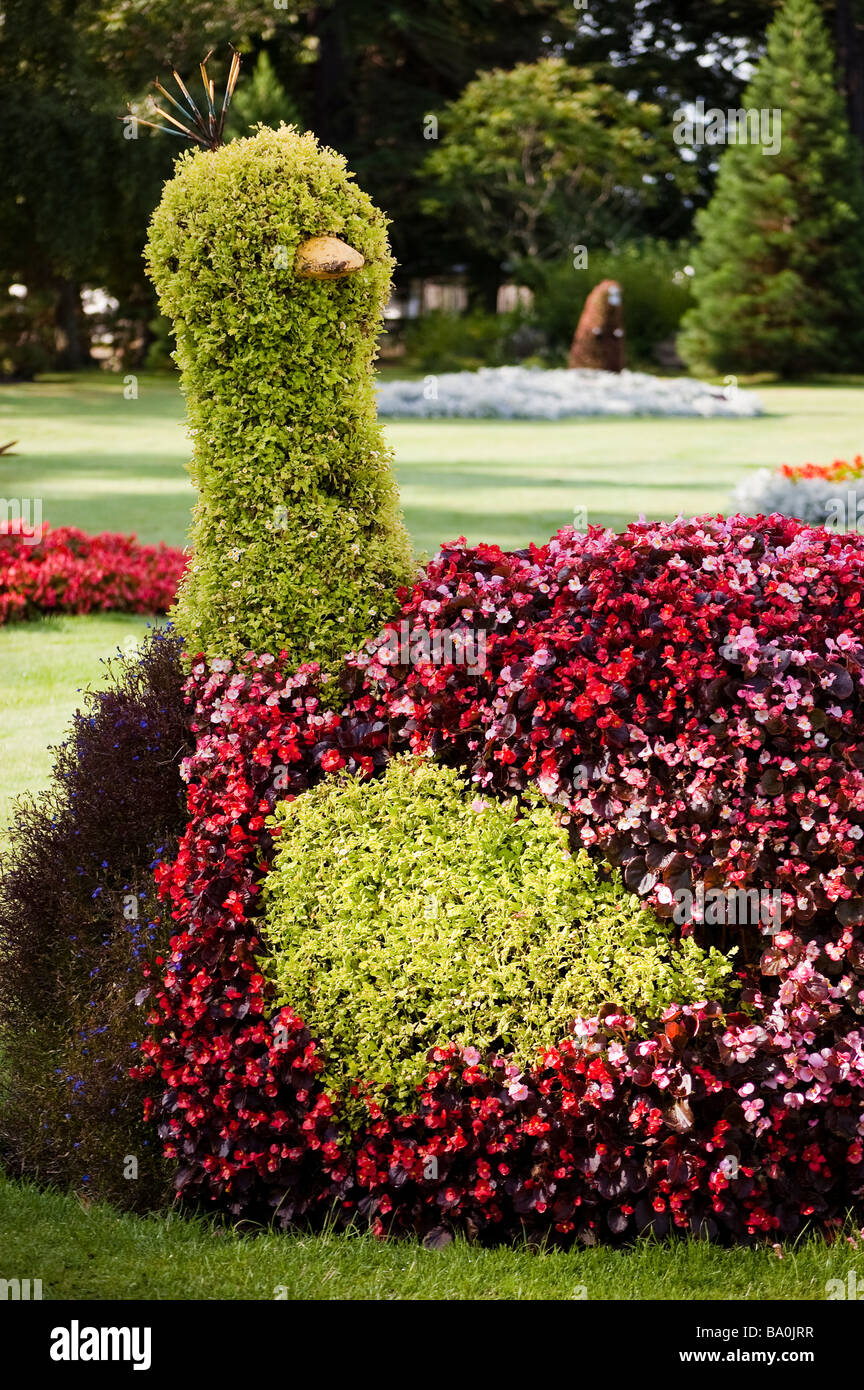 Hedge sculpture hi-res stock photography and images - Alamy