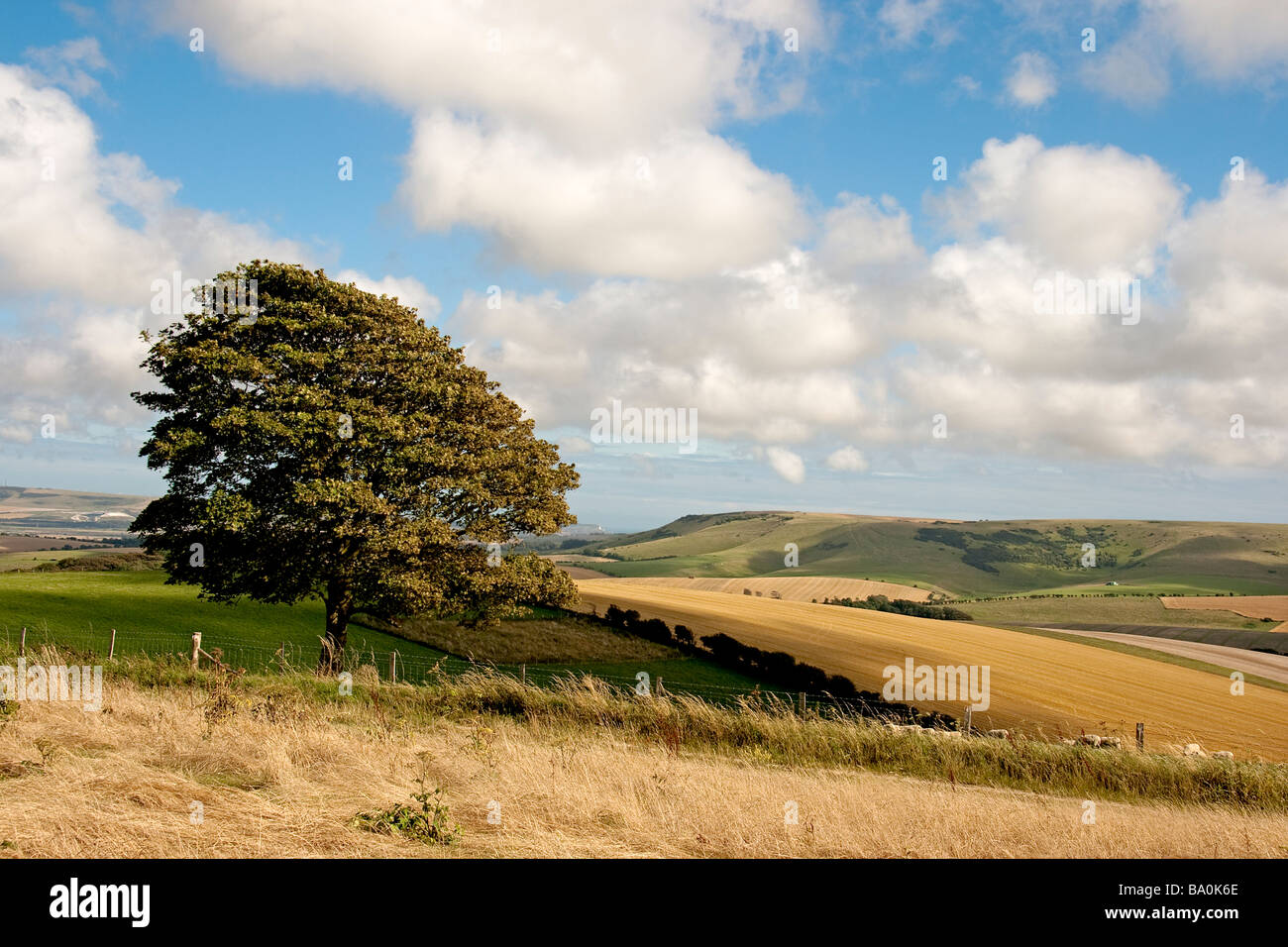 Kingston ridge hi-res stock photography and images - Alamy