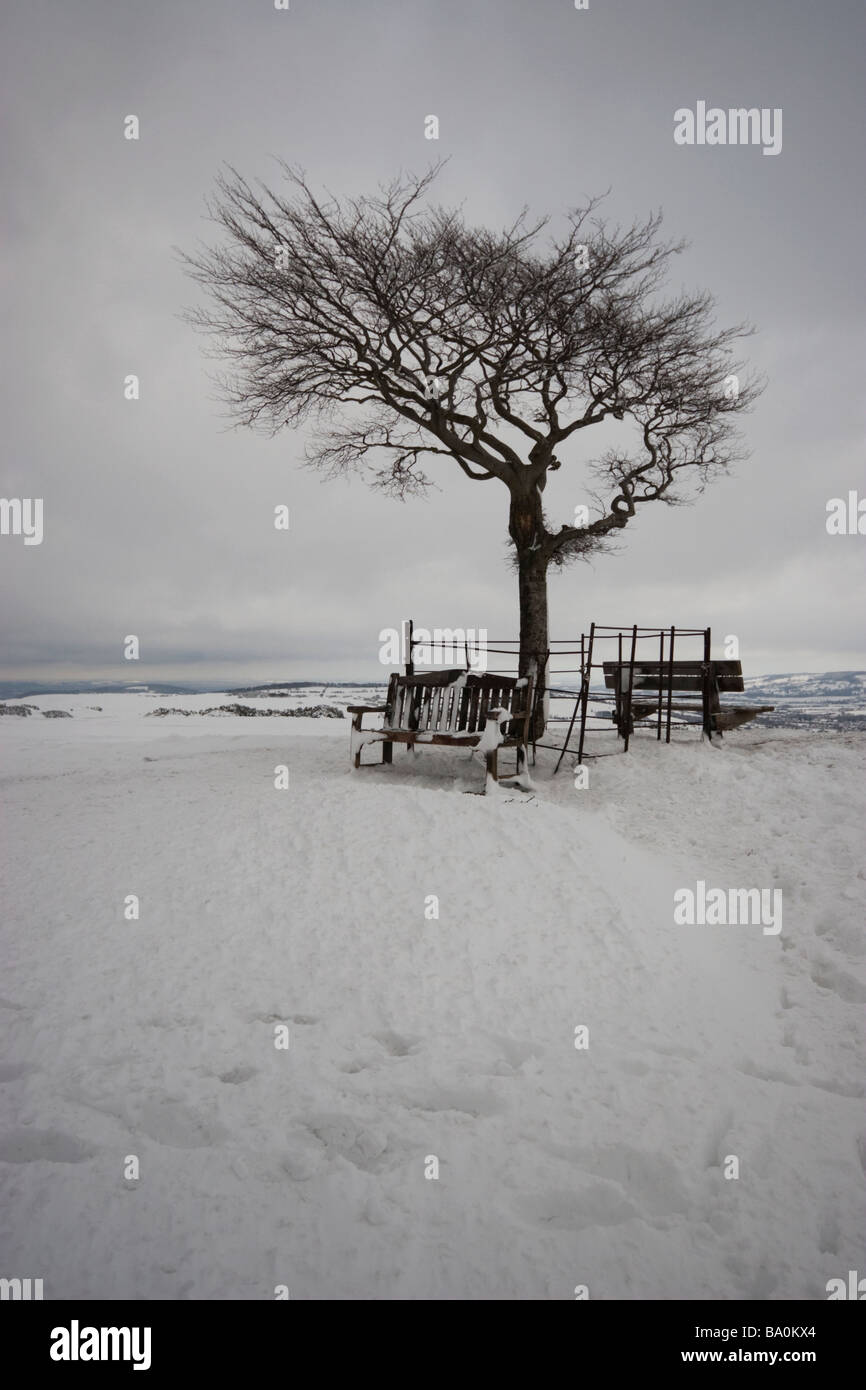 Lone tree cleeve hill hi-res stock photography and images - Alamy