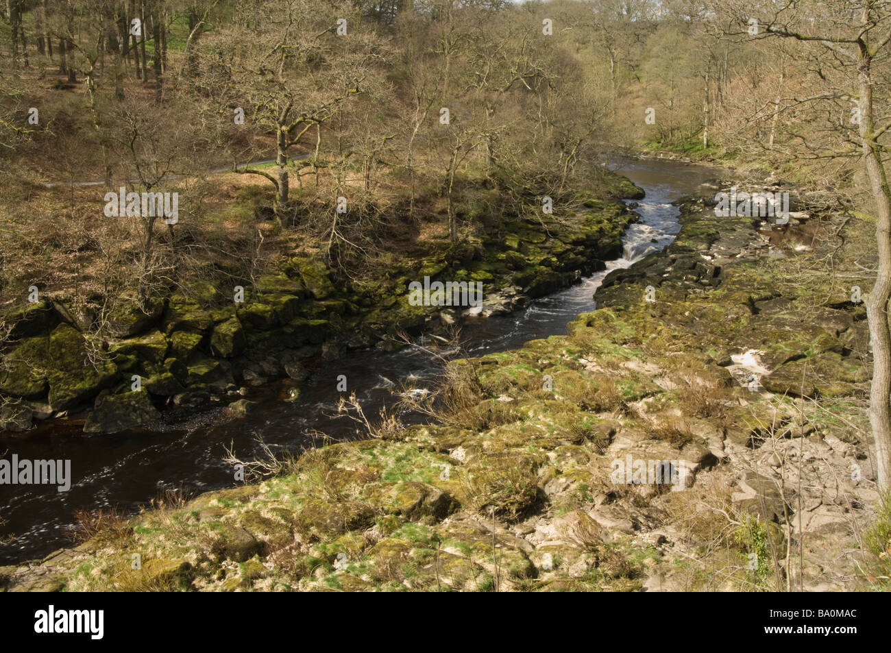the Strid River Wharfe Skipton-on-Swale North Yorkshire England UK ...