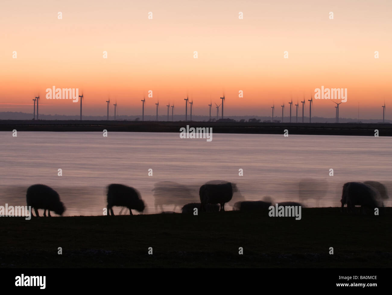 Wind turbines and power pylons and lines Romney Marsh Kent UK Stock ...