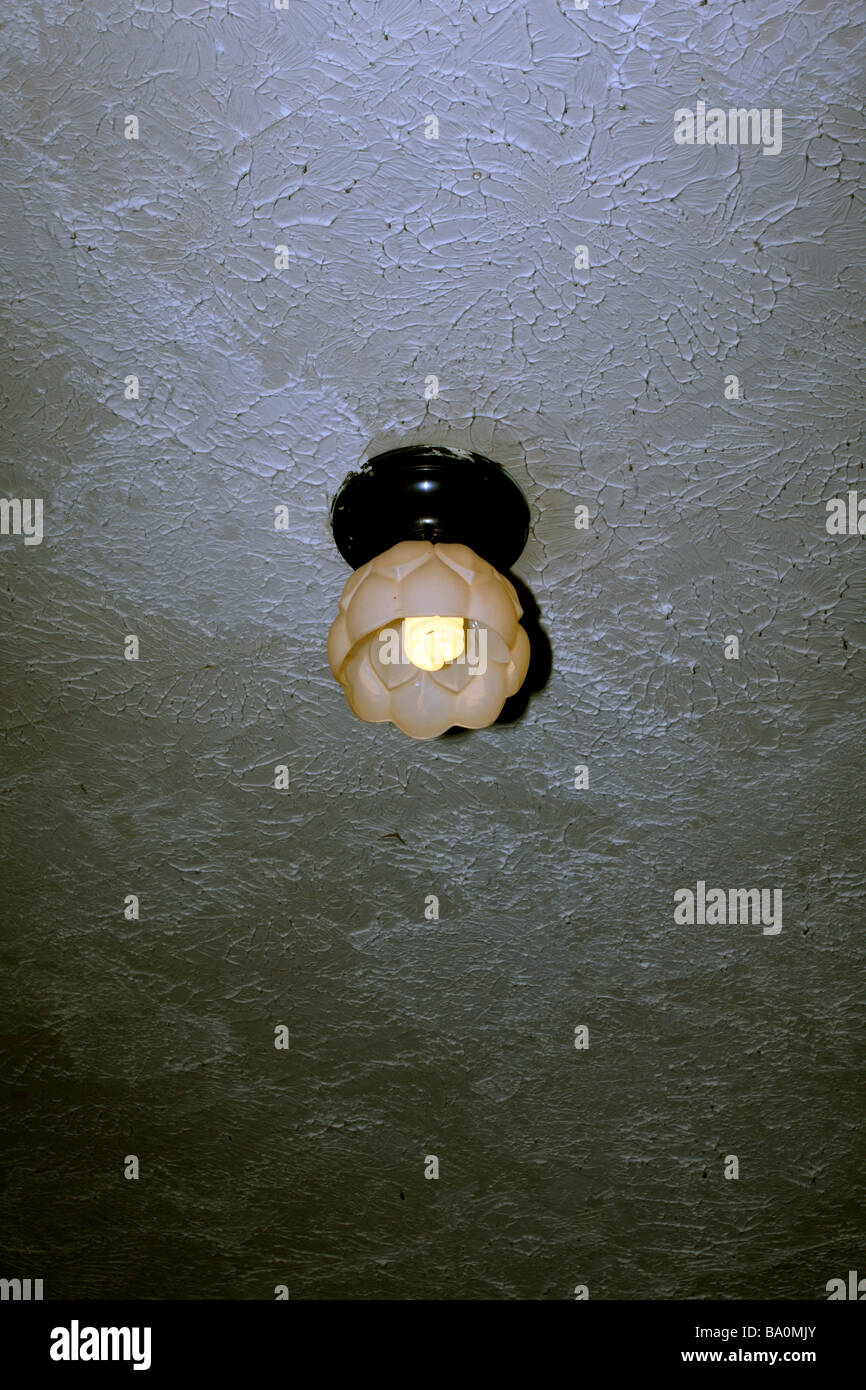 CFL compact fluorescent light bulb in floral fixture, yellow Stock ...