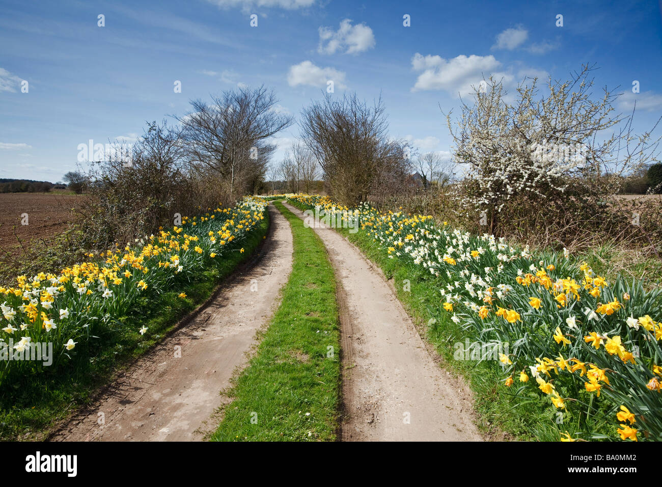 A "Typical Country Lane" deep in the "North Norfolk" countryside "Great ...