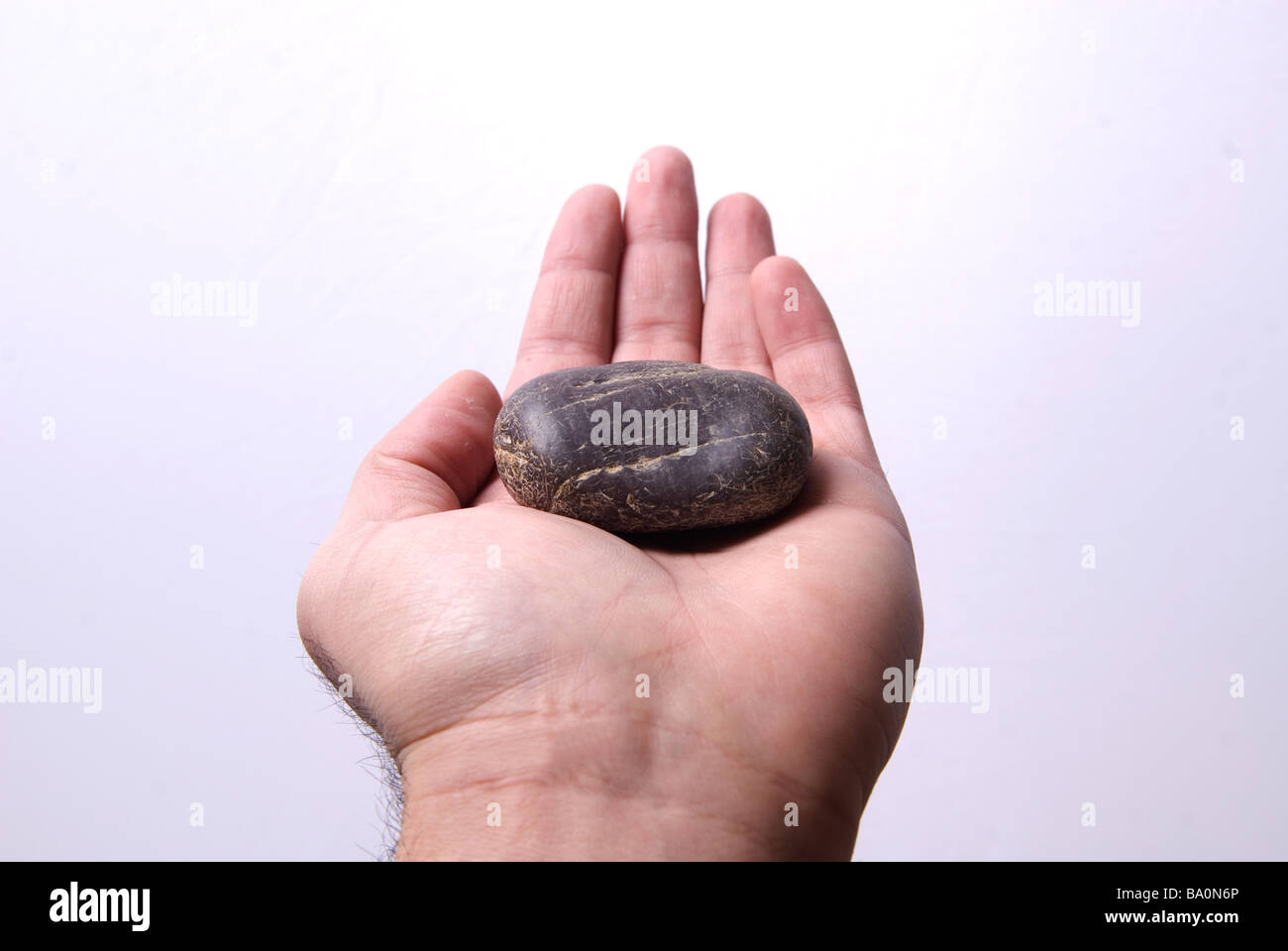 Hand holding a pebble stone against a white background Stock Photo - Alamy
