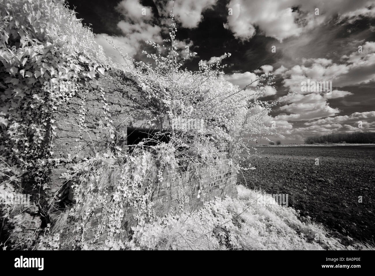 Ww2 uk poster landscape hi-res stock photography and images - Alamy