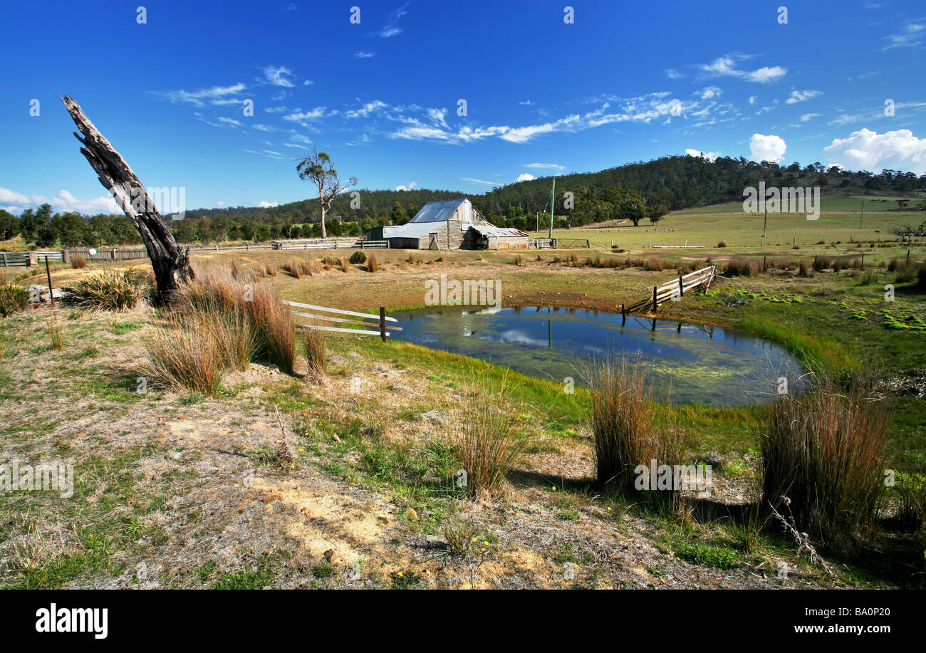 Tasmanian house hi-res stock photography and images - Alamy