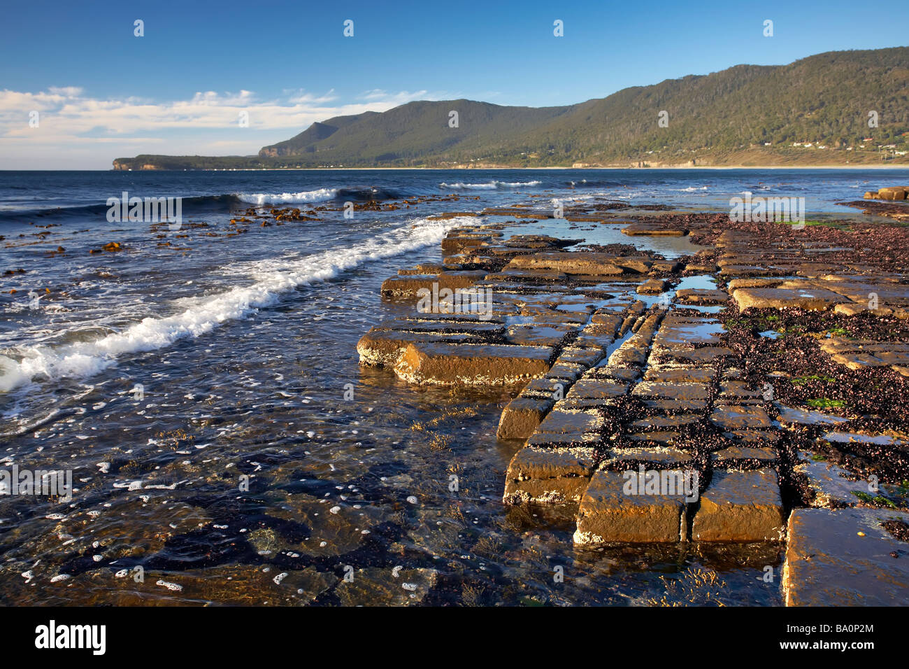 Tessellated rocks hi-res stock photography and images - Alamy