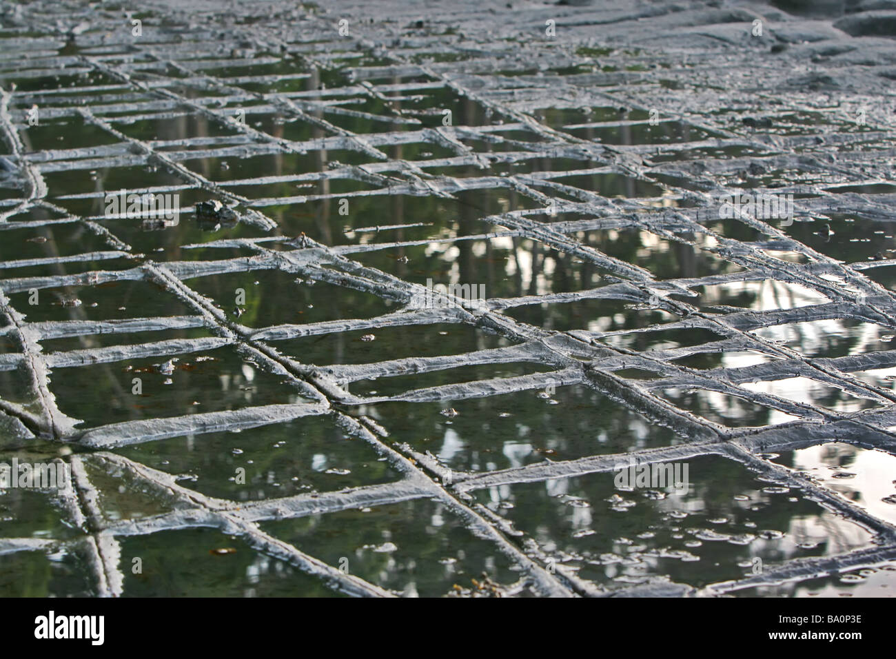 Tessellated Rocks High Resolution Stock Photography and Images - Alamy