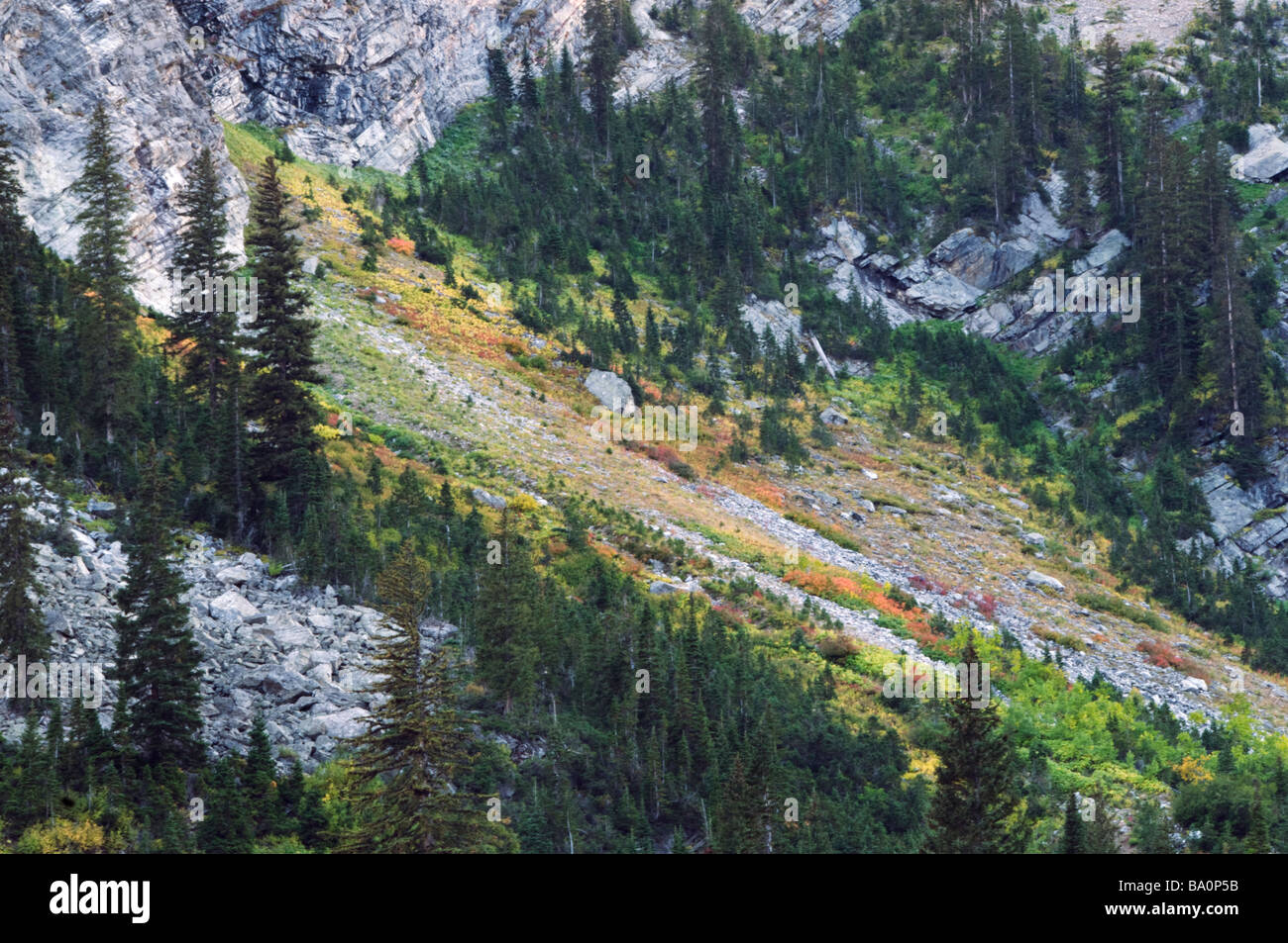 Autumn color on Paintbrush Canyon s alpine slopes Grand Teton National ...