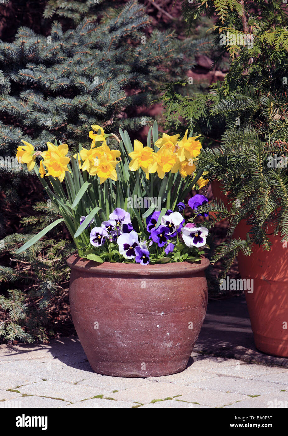 Pot overflowing hi-res stock photography and images - Alamy