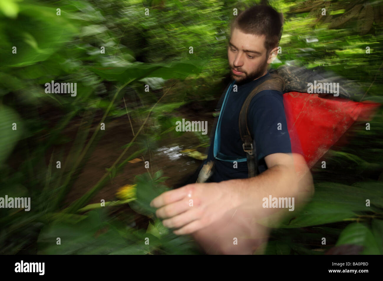 Cutting through jungle hi-res stock photography and images - Alamy