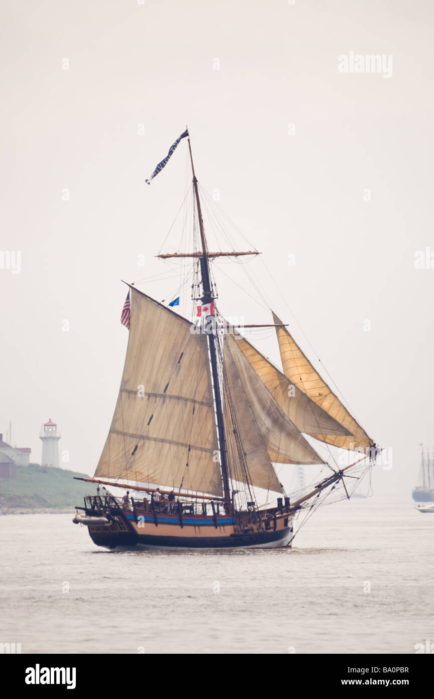 Sloop Sailing Ship