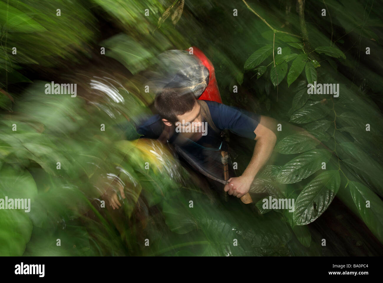 Cutting through jungle hi-res stock photography and images - Alamy