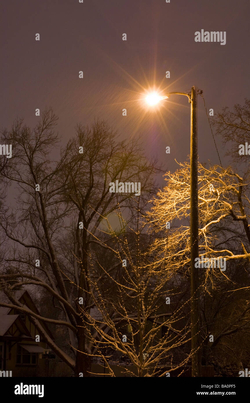Light snowfall at night illuminated under a street lamp Stock Photo - Alamy