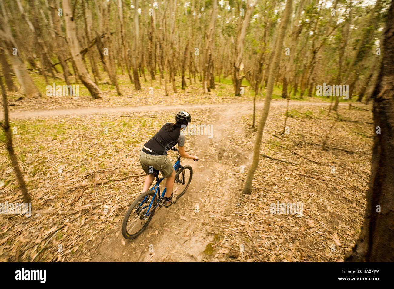 A mountain bike rider travels over rough ground in the bush Stock Photo ...