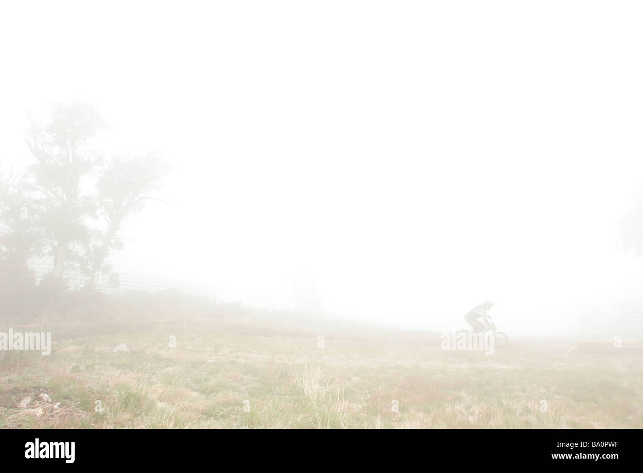 A mountain biker rides downhill in the fog Stock Photo - Alamy