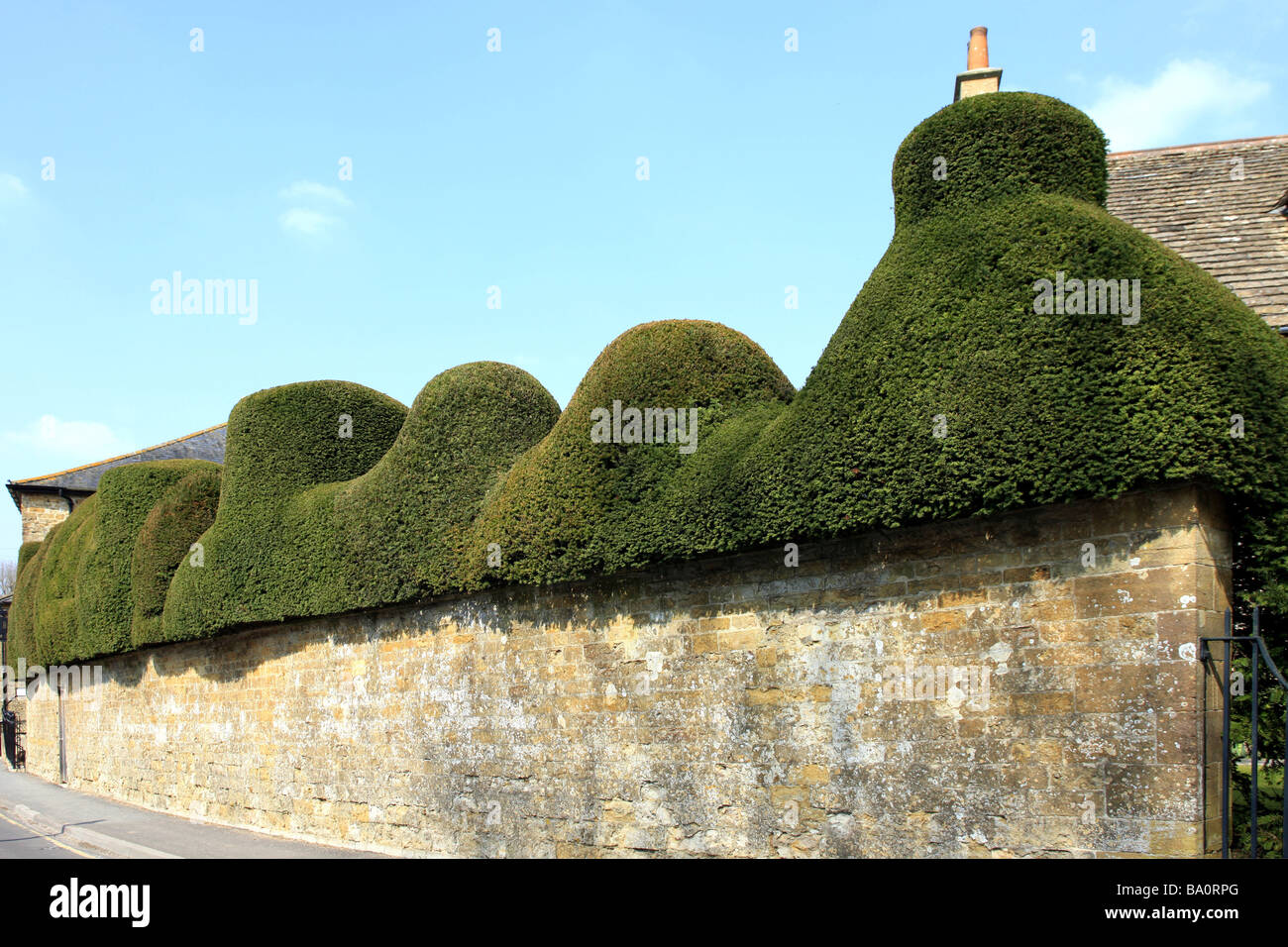 Symmetrical topiary hi-res stock photography and images - Alamy