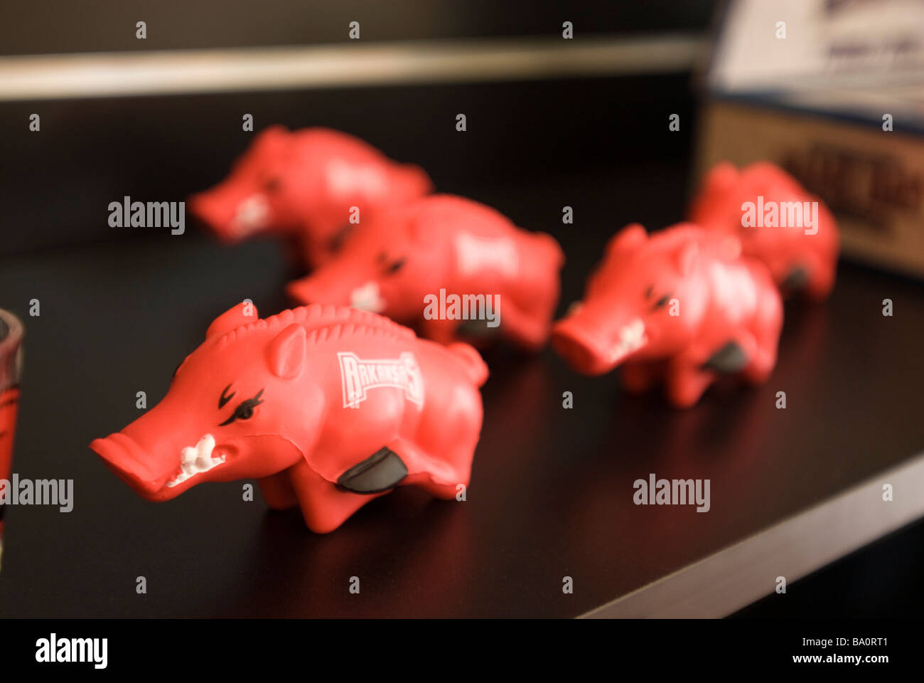 University of arkansas razorbacks hi-res stock photography and images ...