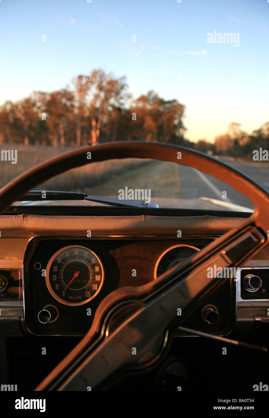 Steer tripping hi-res stock photography and images - Alamy