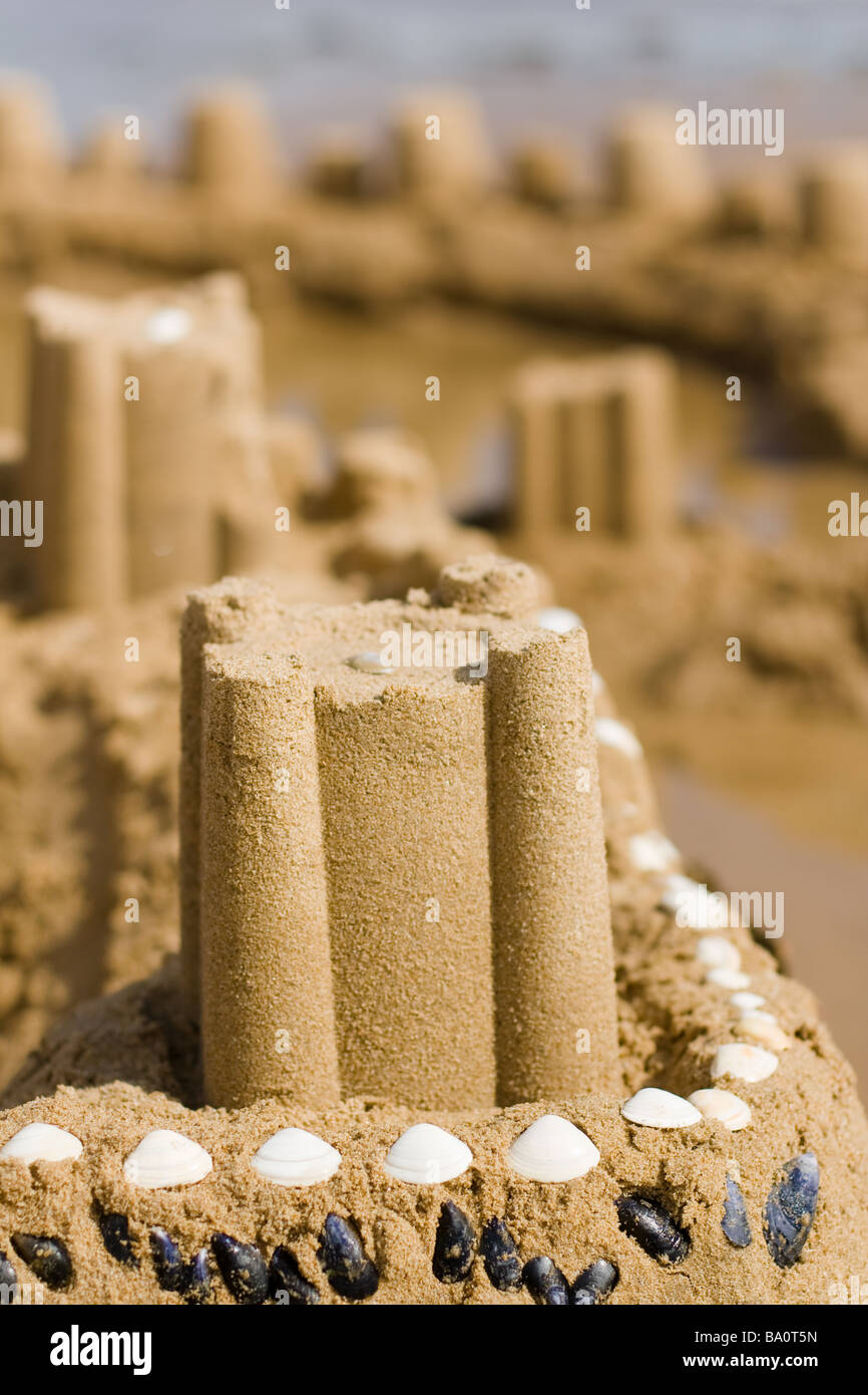 All types of shells hi-res stock photography and images - Alamy