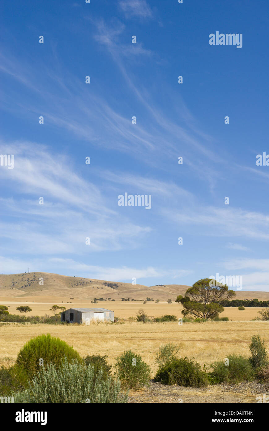 Typical dry South Australian outback with a corrugated iron shed Stock ...