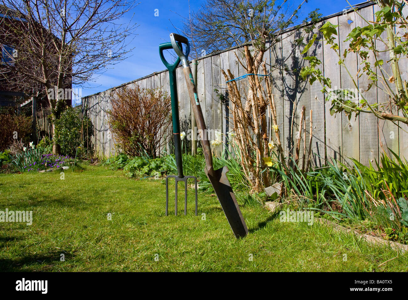 gardening tools on grass depicting the start of the spring clean tidy ...