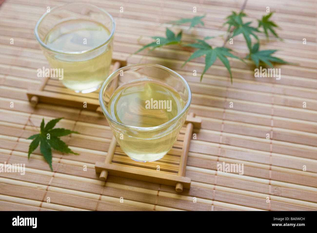 Green tea and maple leaf Stock Photo - Alamy