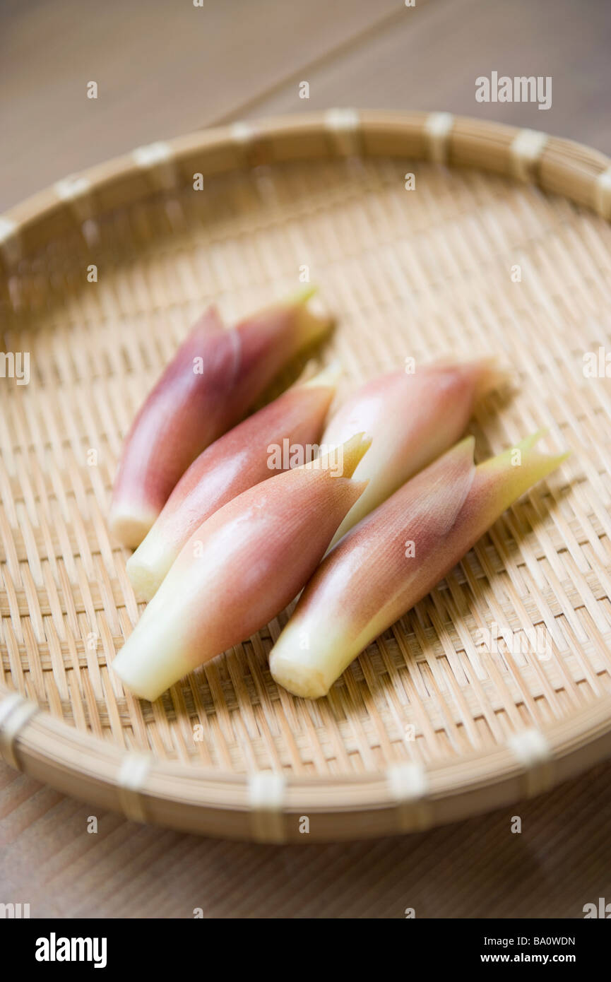 Group ginger hi-res stock photography and images - Alamy