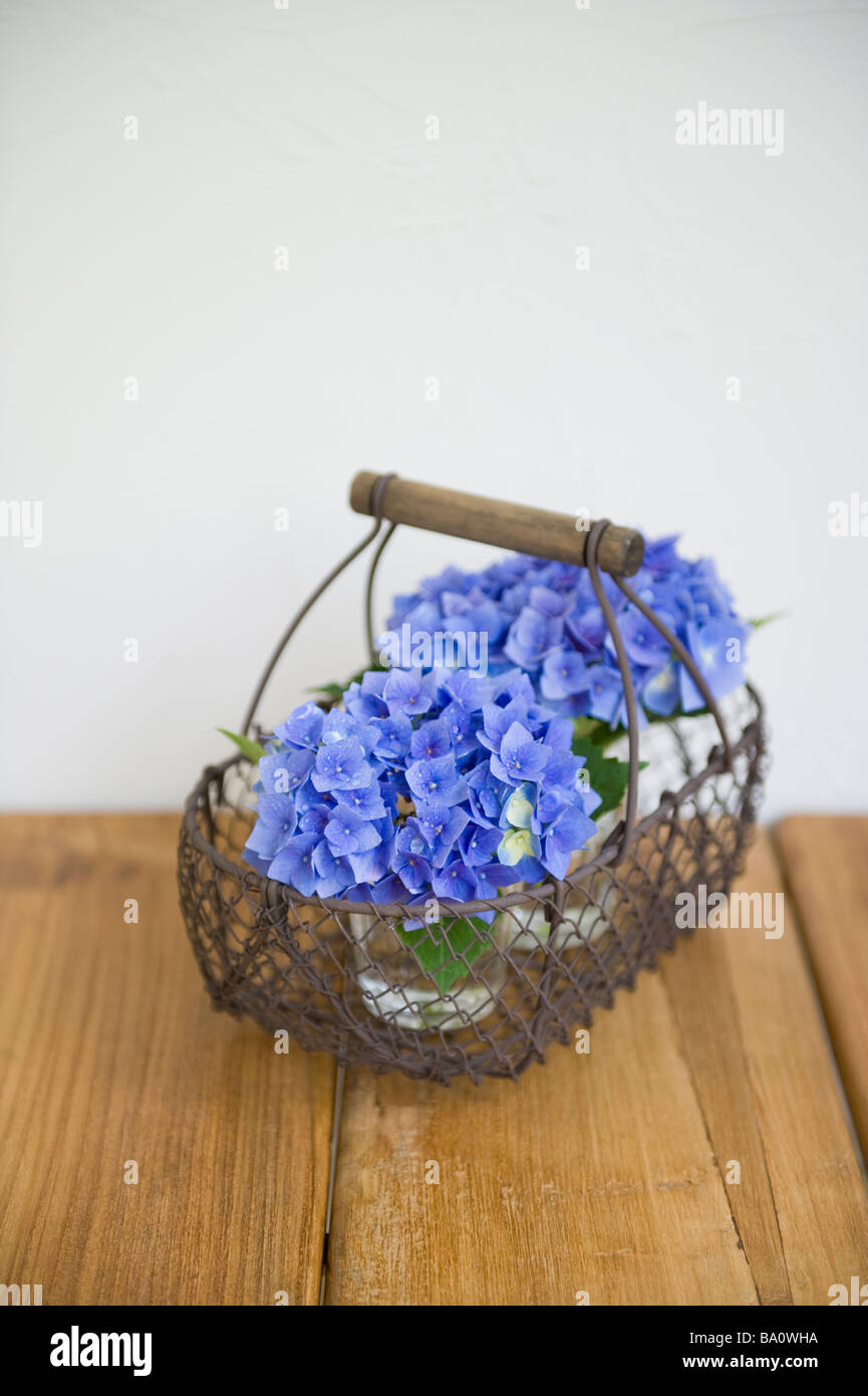 Hydrangea in basket Stock Photo - Alamy