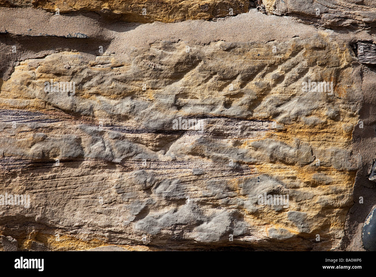 Croppable hi-res stock photography and images - Alamy