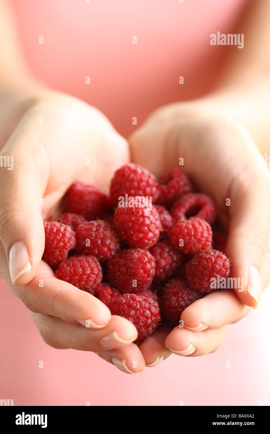Hands holding red raspberries Stock Photo - Alamy