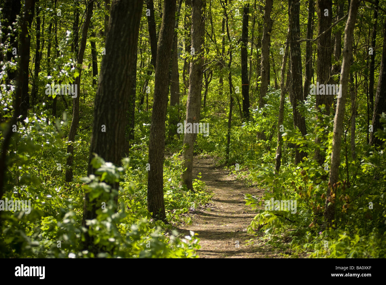 Mount magazine state park hi-res stock photography and images - Alamy