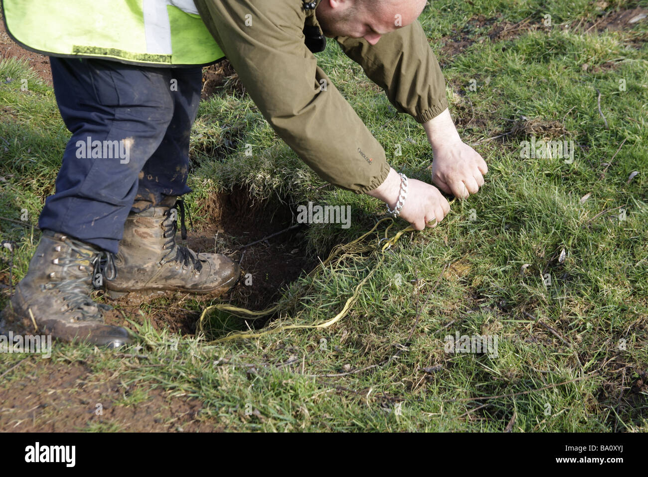 Ferreting for rabbits hi-res stock photography and images - Alamy