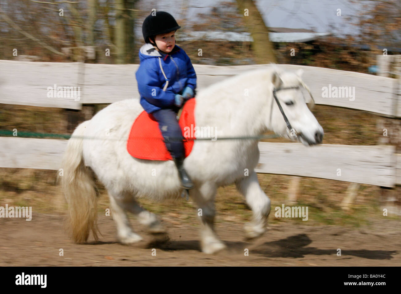 a young boy riding a pony Stock Photo - Alamy