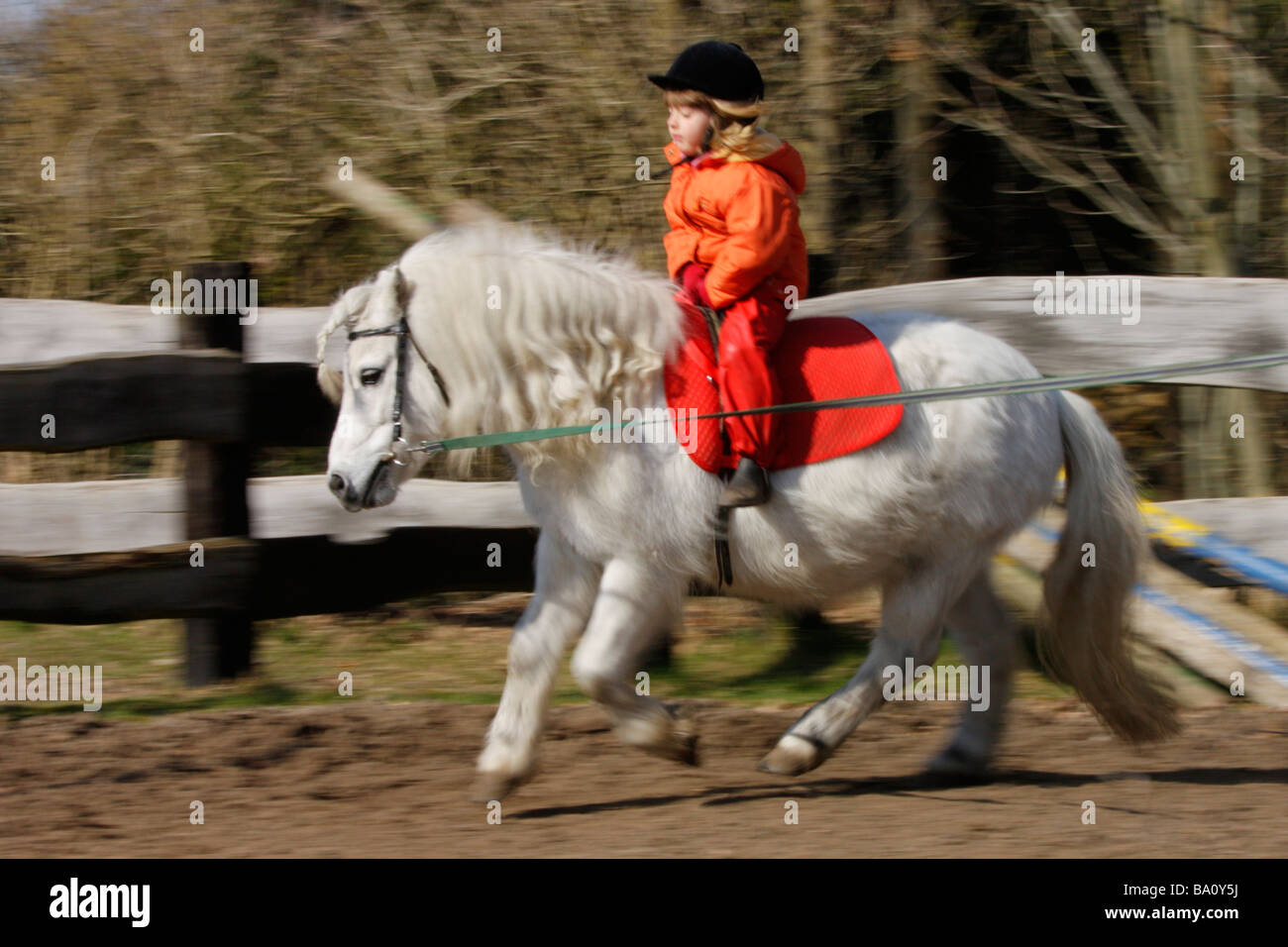 a young girl riding a pony Stock Photo - Alamy