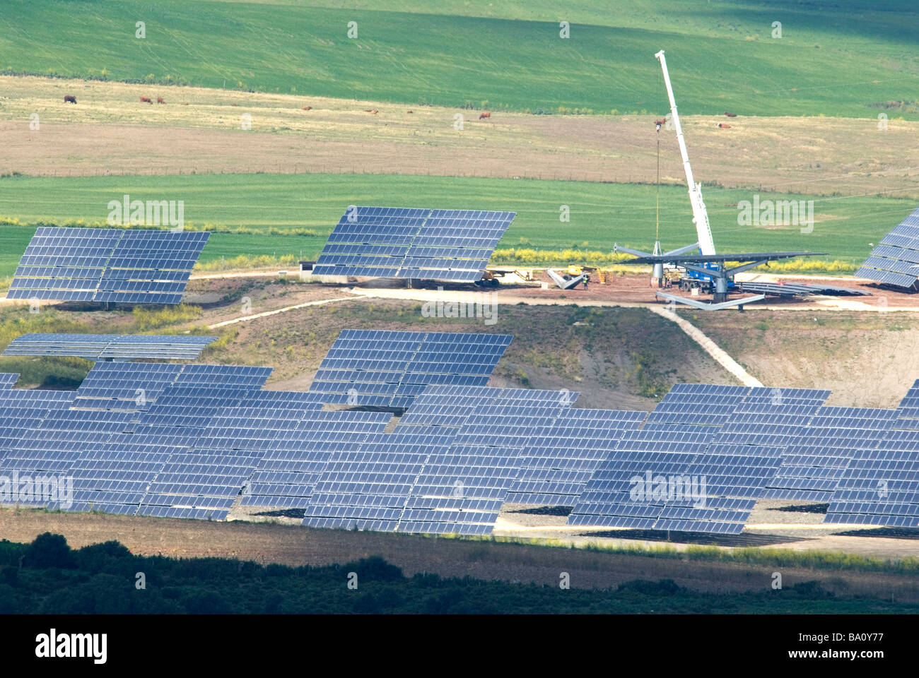 Industrial solar panels site with crane in background helping to erect ...